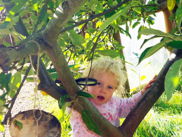 2 – 3 Room – Orchard Day Nursery